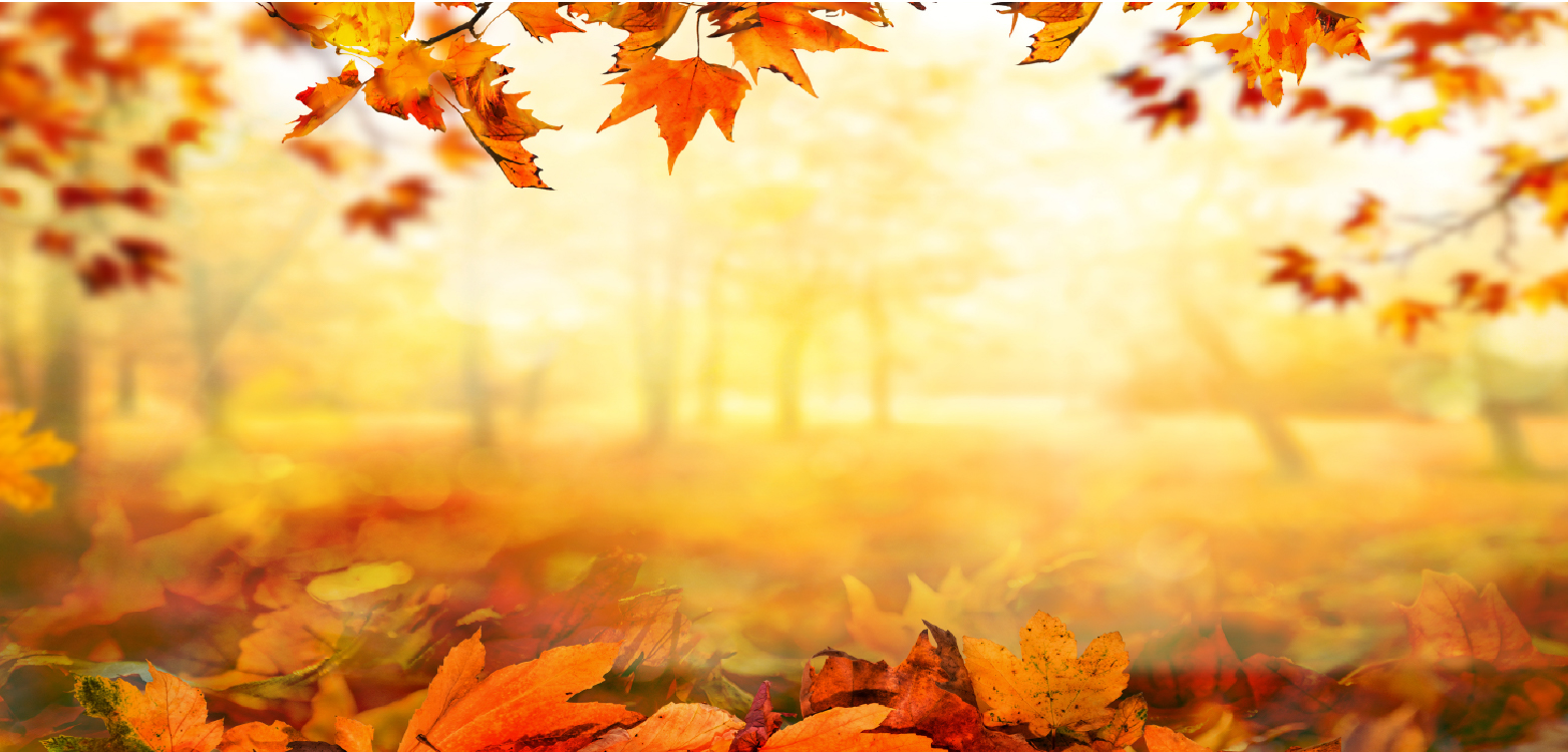 LTS - Video Solutions for Security Professionals